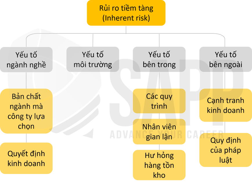 CHAPTER 3 - RỦI RO KIỂM SOÁT NỘI BỘ