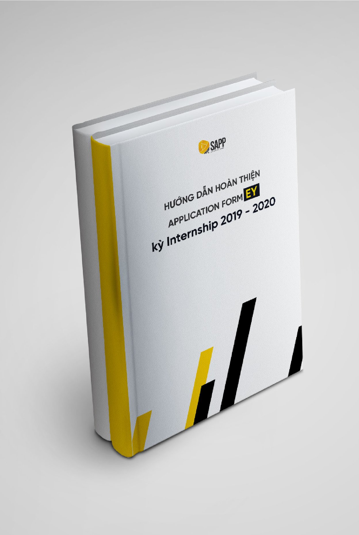 Hướng dẫn điền Application form EY kỳ Internship 2019 - 2020