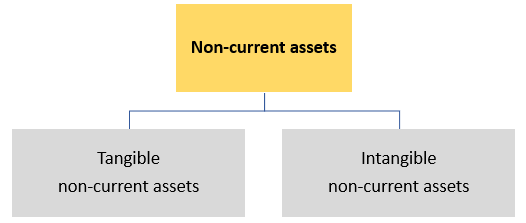 [AA/F8: Tóm tắt kiến thức] Lesson 12: Kiểm toán Tài sản cố định (Non ...