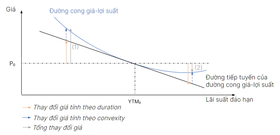 CFA 1 - Fixed Income.12: Yield-based Bond Convexity And Porfolio Properties