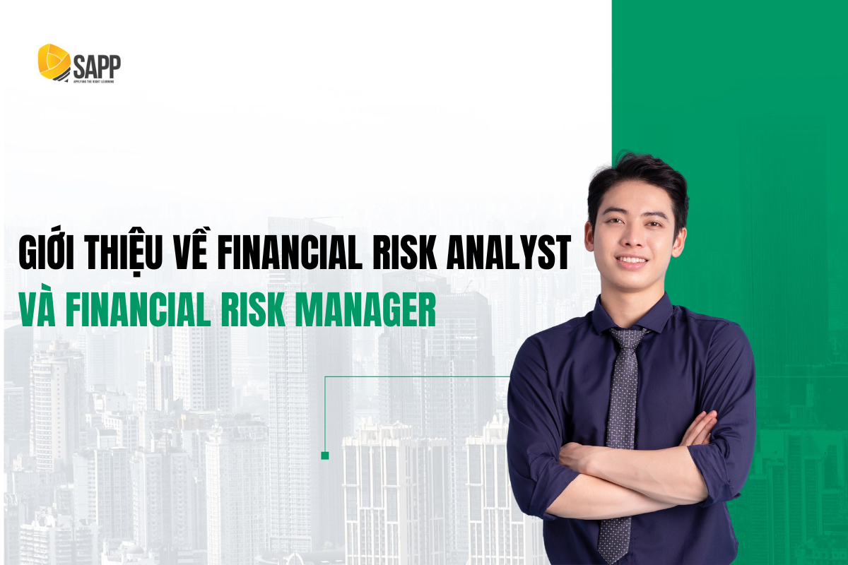 Giới thiệu về Financial Risk Analyst (Chuyên viên Phân tích rủi ro Tài ...