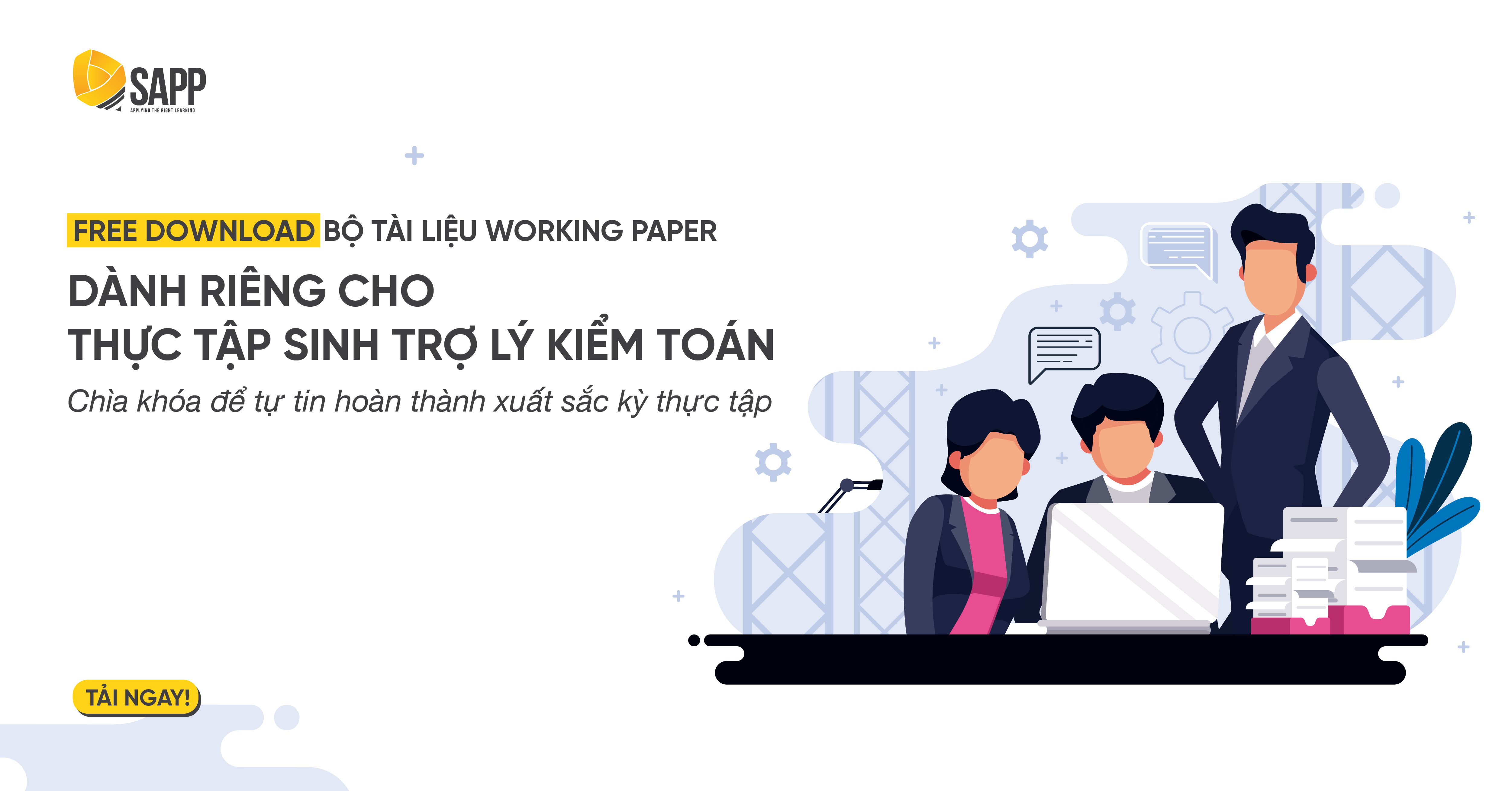 Bộ tài liệu Working paper dành cho Thực tập sinh Kiểm toán